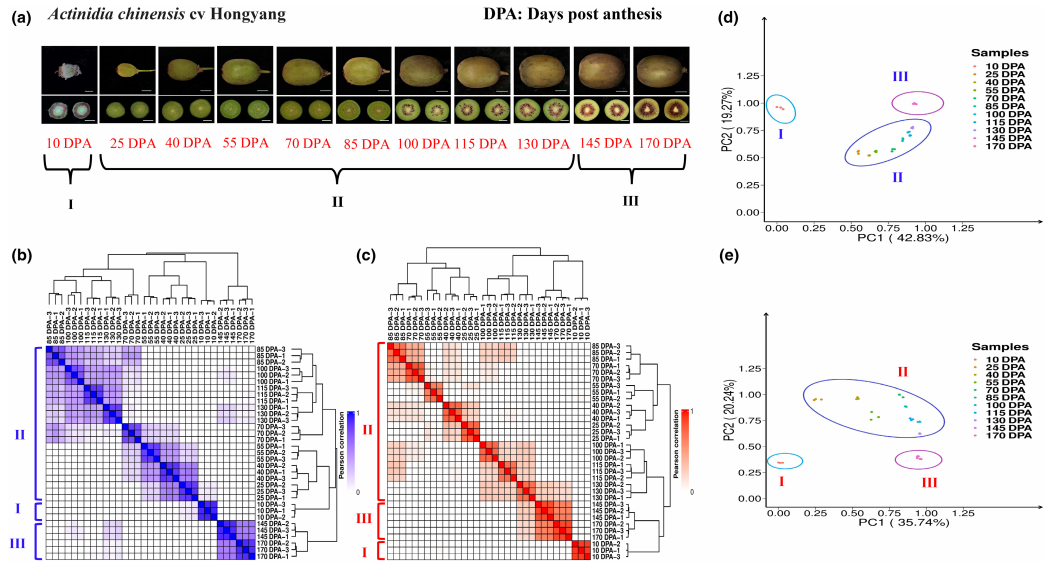 干货|小样本+大样本实验分组设计思路_large-scale genomic and transcriptomic analyses el-CSDN博客