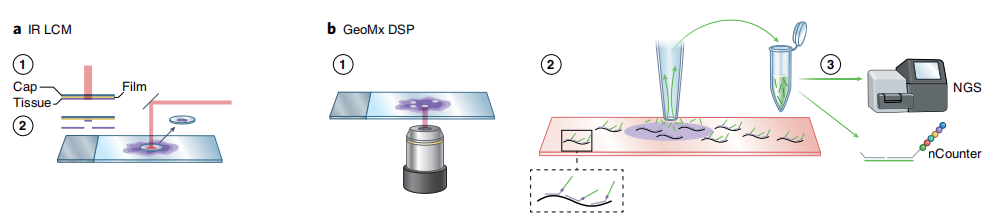 热点综述 | Nature子刊：Museum of spatial transcriptomics-CSDN博客