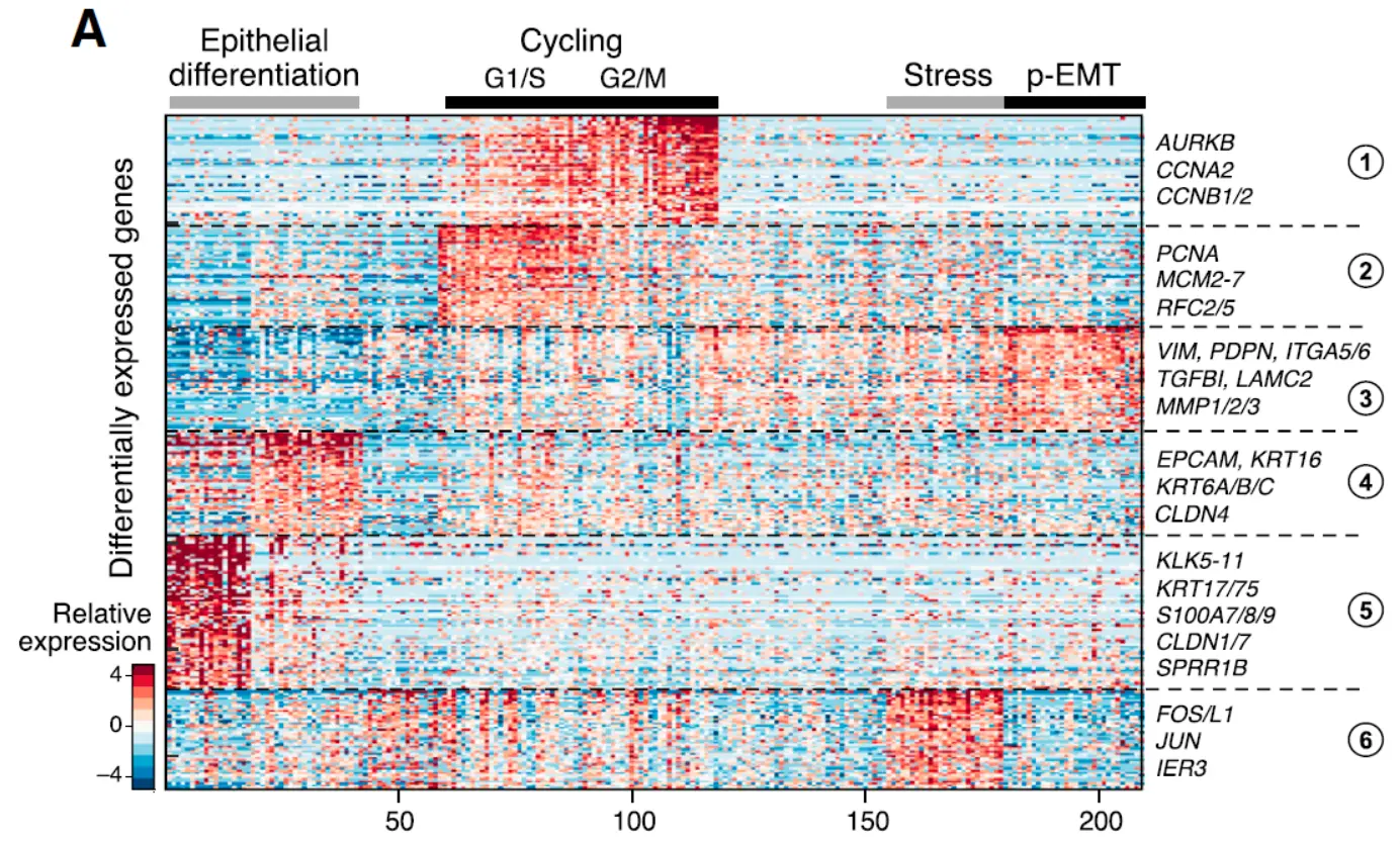 10X单细胞（10X空间转录组）之NMF的实际运用示例（探索肿瘤特征）_nmf单细胞肿瘤异质性-CSDN博客