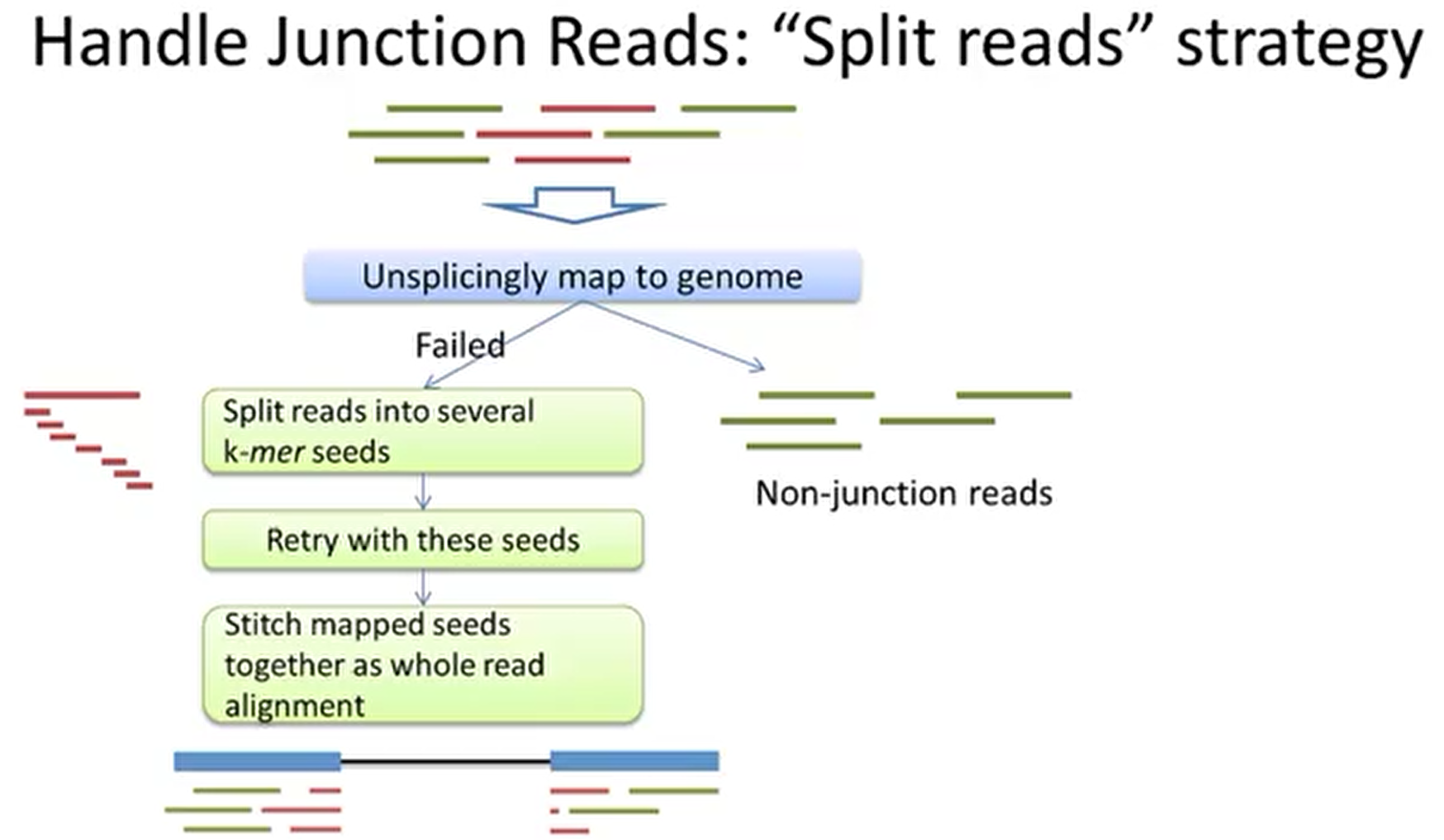 RNA-seq数据构成原理_每一条reads来自哪一条转录本-CSDN博客