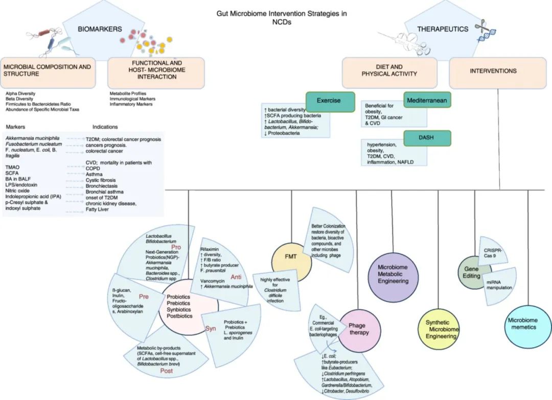 iMetaOmics期刊 第1卷第1期 在线正式发布-CSDN博客