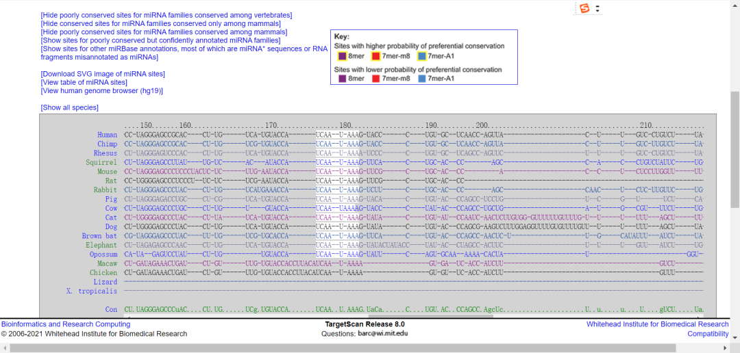 如何预测miRNA的靶基因（TargetScan）-CSDN博客