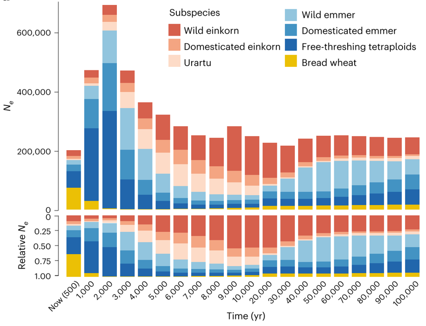 文献精读丨NP 小麦群体演化历史Population genomics unravels the Holocene history of ...