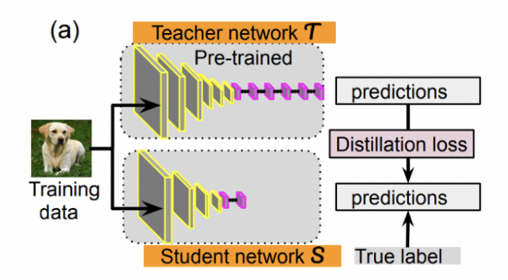 Fast and Effective！一文速览轻量化Transformer各领域研究进展-CSDN博客