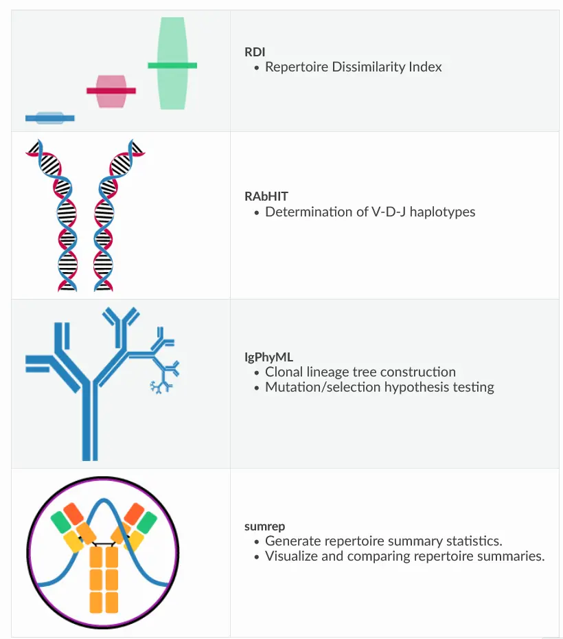 10X单细胞（10X空间转录组）BCR（TCR）数据分析之(9)changeo_igphyml-CSDN博客