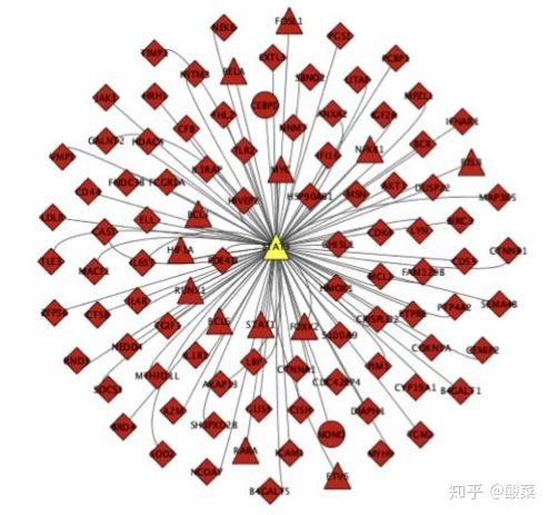cytoscape使用方法_信号通路分析工具教程——Cytoscape及OmniPath插件_weixin_39844549的博客-CSDN博客