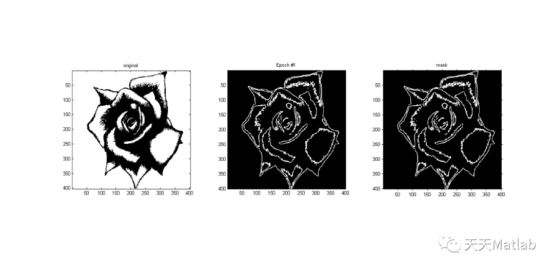 【图像分割】基于元胞自动机实现图像分割附matlab代码_imoverlay-CSDN博客