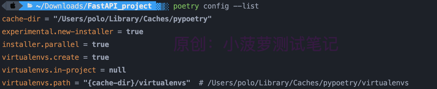 Python - poetry（3）配置项详解-CSDN博客