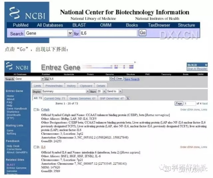 ncbi查找目的基因序列_一步一步教你使用 NCBI 查找DNA、mRNA、cDNA、 引物设计、BLAST 序列比对等...-CSDN博客