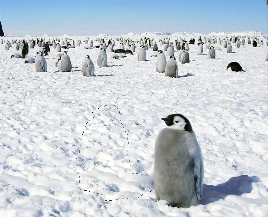 PS-入门_ps csdn-CSDN博客