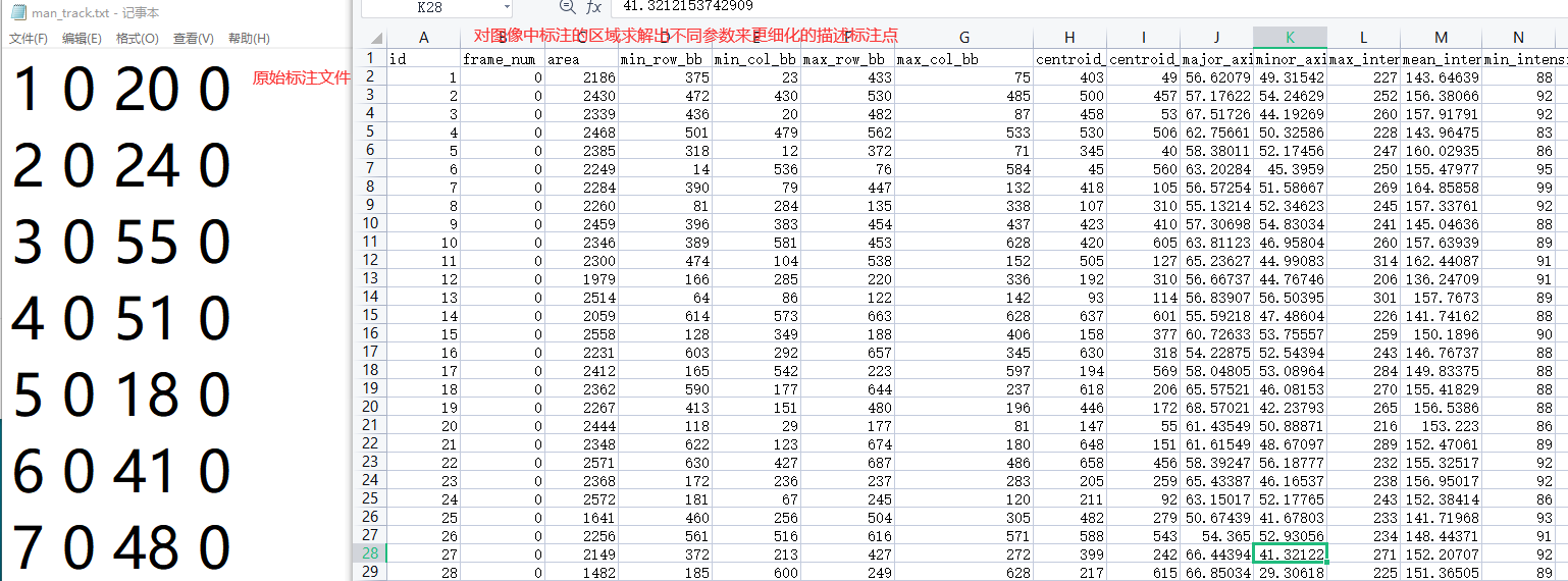 图神经网络基础入门+GNN细胞视频轨迹示踪论文复现（一）_graph neural network for cell tracking in ...